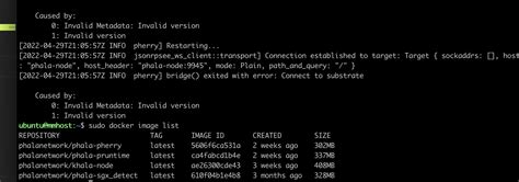Invalid Metadata Invalid Version HelpCenter Phala Forum