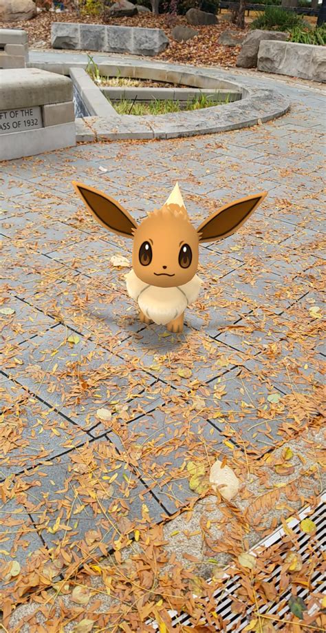 Idk Why But Eevee Just Looks So Good In The Fall R Pokemongo
