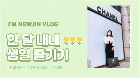 Vlog 10 인사팀 직장인 브이로그 를 가장한 생일 브이로그 Feat 샤넬오픈런 Youtube