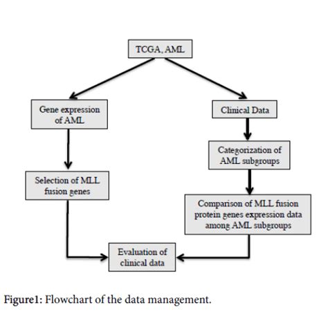 Data Management Flow Chart The Management Module Basic Data Flow Diagram Flowchart Example