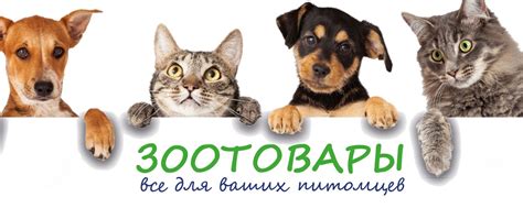 Зоомагазин "ЗооМир" | Добро пожаловать в зоомагазин “ЗооМир”! Мы рады ...