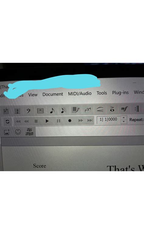 Grayed Out Playback Controls And Measure Numbers Finalegarritan Help Center