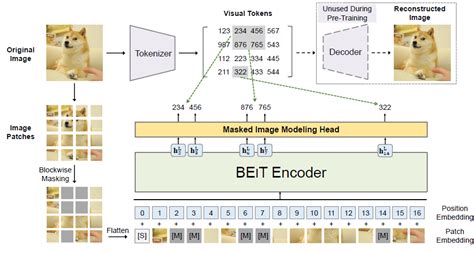 Review — Beit Bert Pre Training Of Image Transformers By Sik Ho Tsang Medium