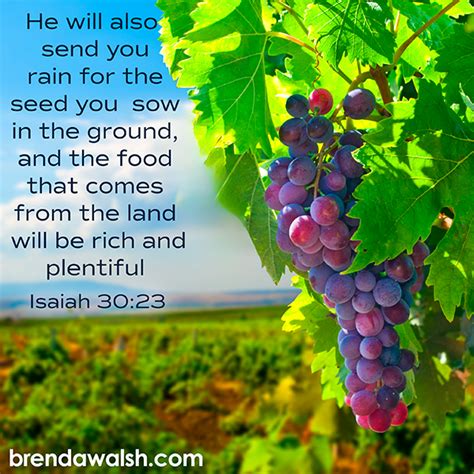 Prosperity And Abundance Brenda Walsh Scripture Images