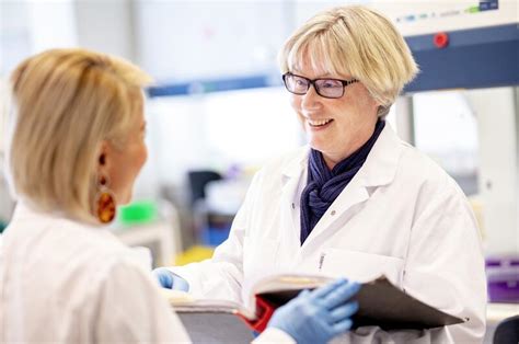 Mohamed El Shazly On Linkedin Doctoral Phd Position In Nanotechnology And Functional