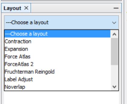 Programming For Beginners Gephi Layout Window