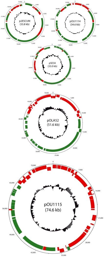 The GC Content Is Depicted In The Central Part Of The Maps Open Download Scientific Diagram