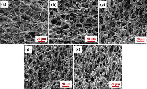 Porous Morphologies Of Diverse Pbs Foams A Neat Pbs Foam B Pbschncs Download Scientific