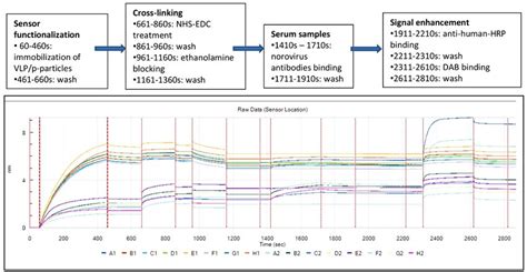 Biolayer Interferometry Assay Workflow Showing The Virus Like Particle Download Scientific
