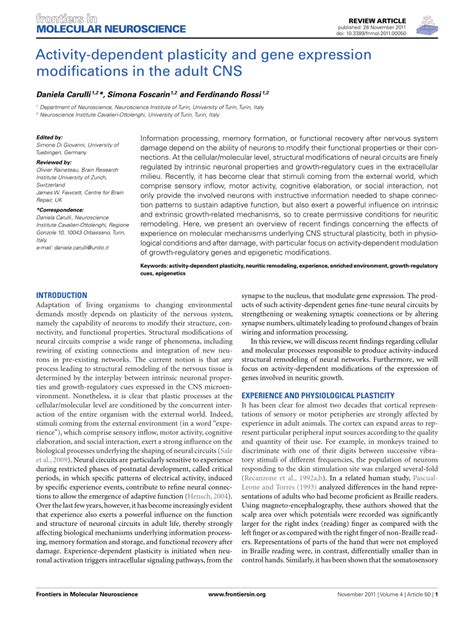 Pdf Activity Dependent Plasticity And Gene Expression Modifications