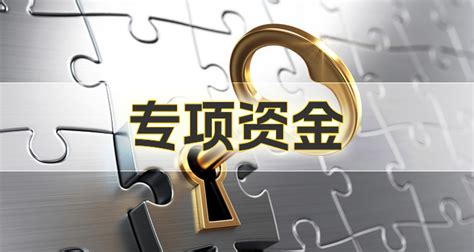 怎么做专项资金的账务处理？财政给的专项资金怎么核算？ E财经在线