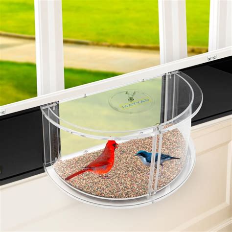 Window Bird Feeder Birdwatching Indoorsclear View180