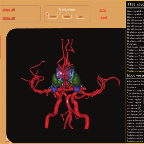 Radius Processing A Graph Illustrates The Distribution Of Radial Download Scientific Diagram