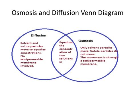 Osmosis Diffusion Venn Diagram