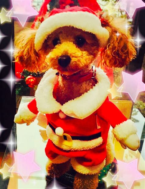 Marry Xmas🎄 知塾tomojuku