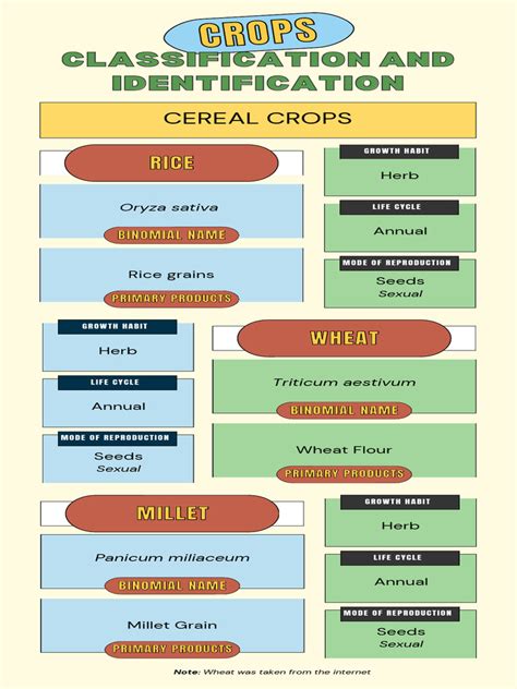 Crops Classification And Identification Pdf