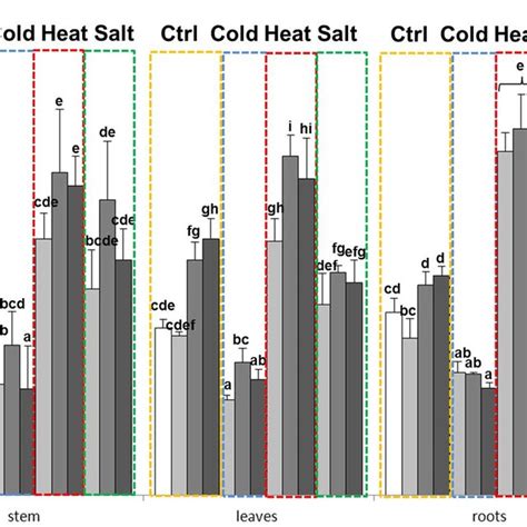 The Pairwise Variation Vnvn1 Was Calculated Between The Download Scientific Diagram