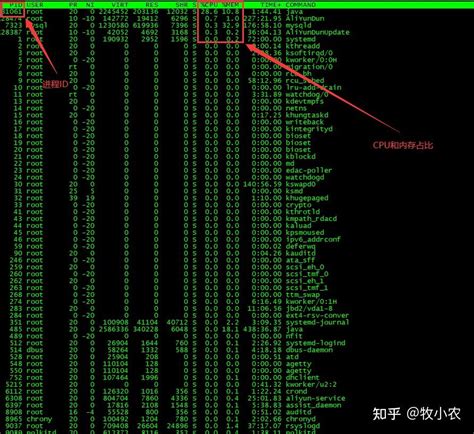 【死磕jvm】看完这篇我也会排查jvm内存过高了 就是玩儿！ 知乎