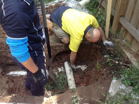 Pipe Excavation Offending Tree Root Found Gough S Tech Zone