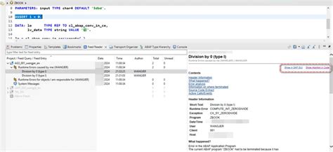 Abap 程序员必备指南：三种不同 Abap 环境下诊断运行时错误的方法揭秘 待注销 Segmentfault 思否