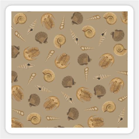 Cute Fossil Pattern Fossil Sticker Teepublic