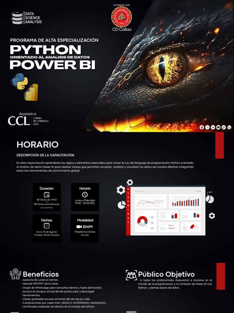 Brochure Python Orientado Al Análisis Power Bi Pdf