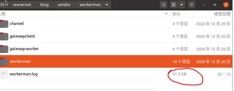 workerman log占用51g，怎么设置不写这个文件？