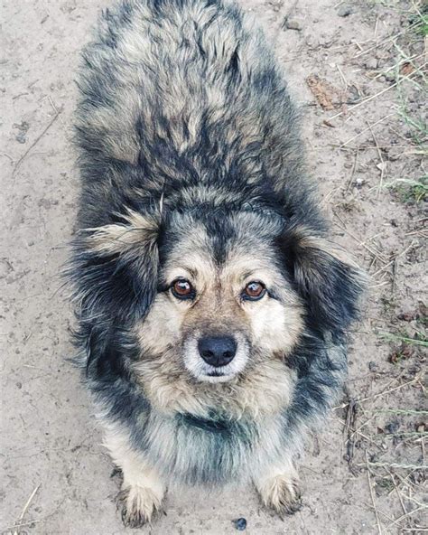 Допомога Дворянам Помощь Дворянам Івано Франківськ📍 МОЯ СТОРІНКА ЗАБЛОКОВАНА 😓 НЕ ПОШКОДУЙТЕ
