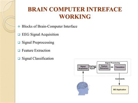 Wavelet Based Feature Extraction Scheme Of Eeg Waveform Ppt Brain