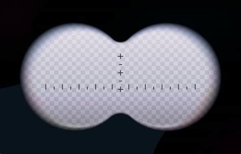 Binocular View Vector