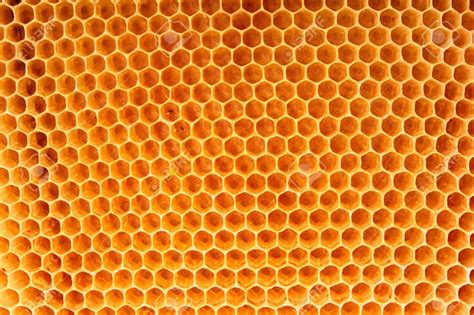 200 Honeycomb Wallpapers