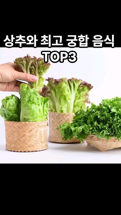 구멍난 뼈 채워주는 상추와 최고 궁합 음식 Top3 노년기 건강을 위해 상추 이렇게 드셔야 몸속 염증과 독소가 빠지고 고혈압 암 치매를 예방할 수 있습니다