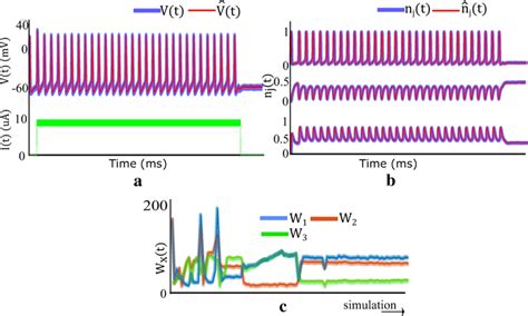 A The Voltage Trajectories Recovered From The Model Blue And The Download Scientific Diagram