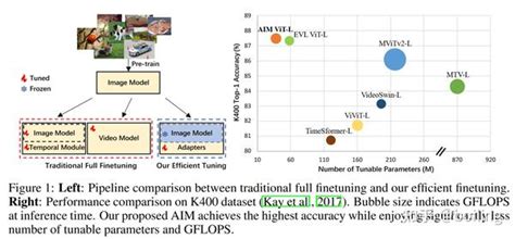 Aim 适应图像模型以实现高效的视频动作识别” 知乎