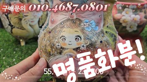 구매문의 01046870801매주 목요일밤 7시30분 실시간 다육판매다육 다육식물 다육이 다육이판매 다육이키우기 수제화분 실시간 선인장 Youtube