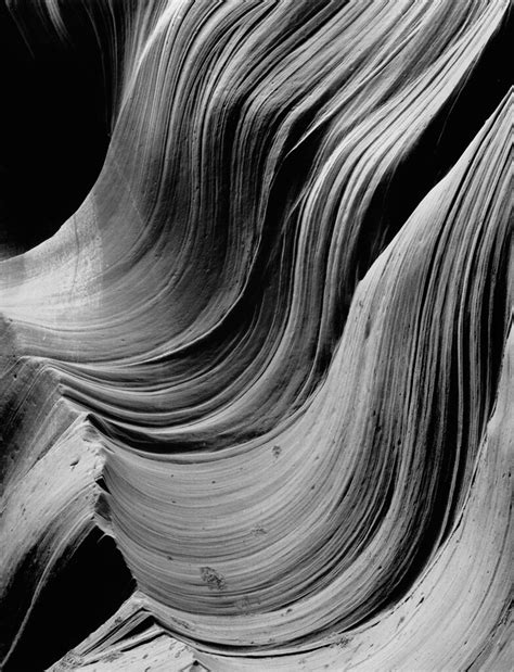 Antelope David Okner Flickr
