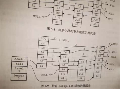 Redis学习之四skiplist 个人文章 Segmentfault 思否