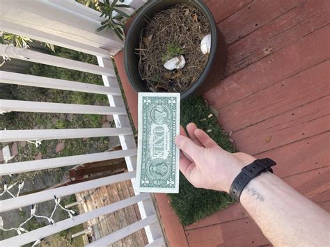 Dollar Bill Detection Object Detection Model V24 Raw Images By Alex