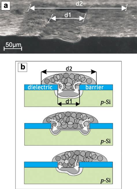 A Cross Sectional Sem Micrographs After Hf Hcl Etching Of The Al