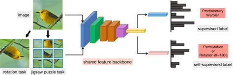 Self Supervised Learning For Graphs By Paridhi Maheshwari Stanford Cs224w Graphml Tutorials