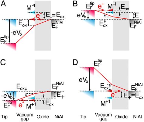 Tunneling Rates In Electron Transport Through Double Barrier Molecular Junctions In A Scanning