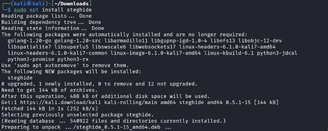 how to hide secrets in images and audio files on linux using steghide