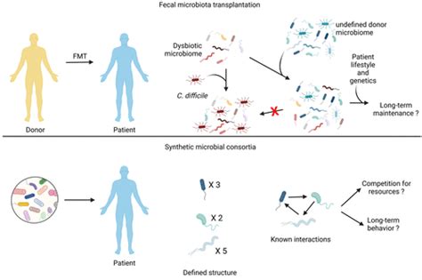 Microbiome And Human Health Current Understanding OFF
