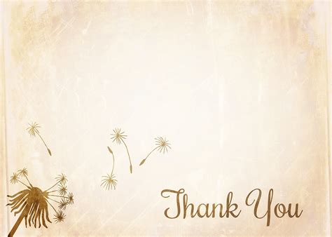 Information Interview What Is It And How To Arrange For One Immi Moms