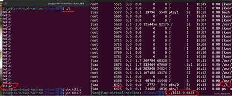linux信号的使用 linux 信号发送 csdn博客