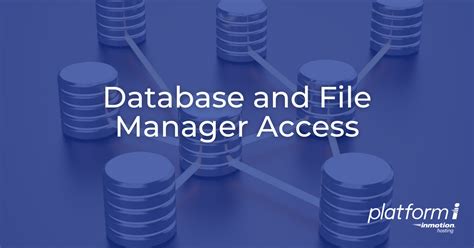 Using The Database And File Manager On Wordpress Playgrounds
