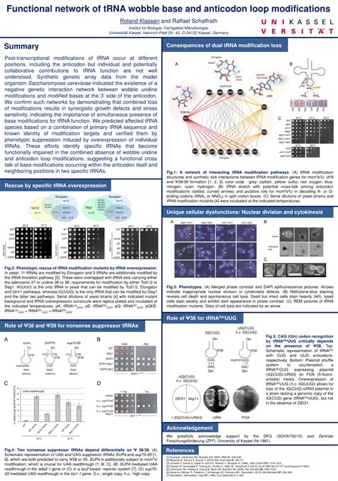 Pdf Functional Network Of Trna Wobble Base And Anticodon Loop