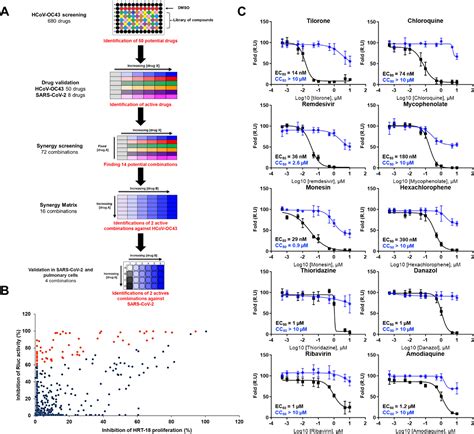 Repurposing Drugs And Synergistic Combinations As Potential Therapies