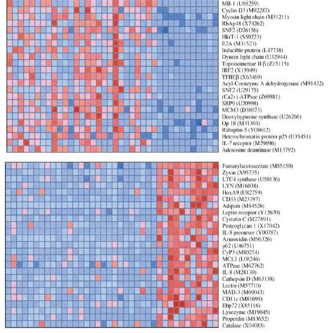 2 The Heat Map Of The Leukaemia Microarray Data Each Column Download Scientific Diagram