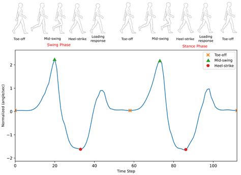 Sensors Free Full Text Gait Trajectory Prediction On An Embedded Microcontroller Using Deep
